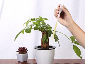 plastic dropper