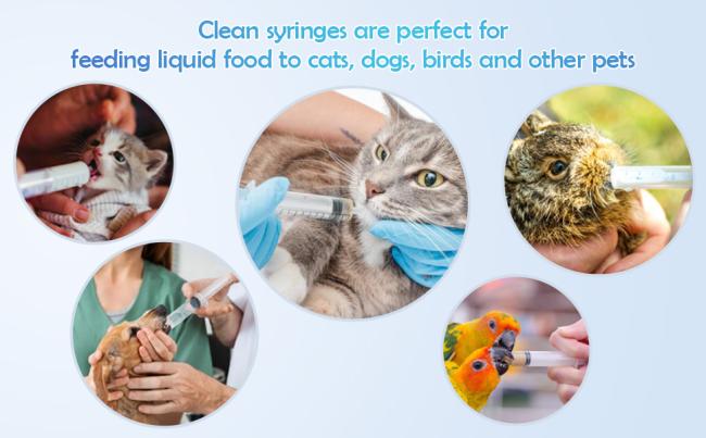 10ml Syringe for feeding pet