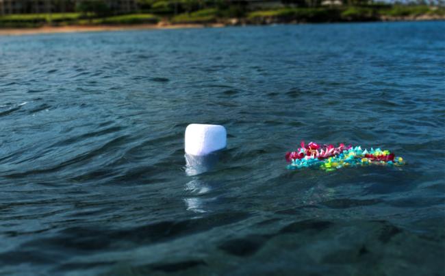 water burial
