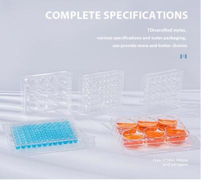China Plastic Sterile 4 6 12 24 48 96 384 Wells Weefselcultuur Plaat Cellencultuur Plaat Voor laboratorium Gratis monster Gratis verzending Te koop