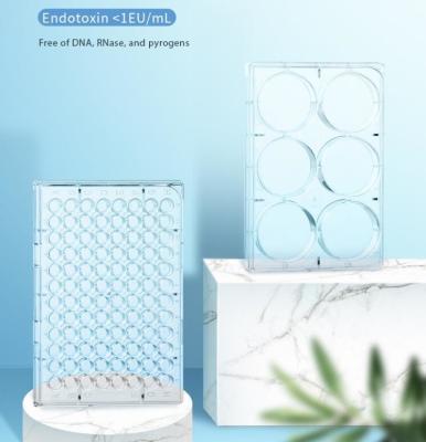 China Plastic Sterile 4 6 12 24 48 96 384 Wells Weefselcultuur Plaat Cellencultuur Plaat Voor laboratorium Gratis monster Gratis verzending Te koop