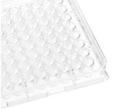 China Plastic Sterile 4 6 12 24 48 96 384 Wells Weefselcultuur Plaat Cellencultuur Plaat Voor laboratorium Gratis monster Gratis verzending Te koop