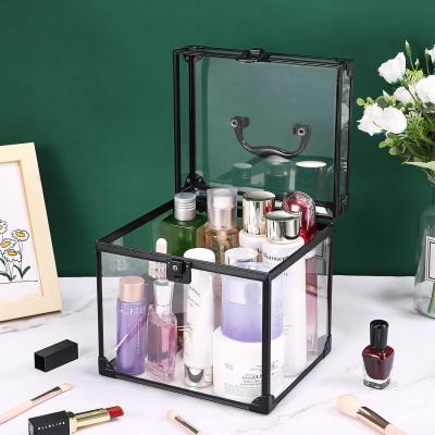 China Portable Cosmetics & Toiletry Organizer Box, Clear Train Case  Latches & Handle Travel Makeup Tools Storage Organize for sale
