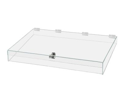 China Doorzichtige Acryl Single Lock medische doos met sleutels, 13 