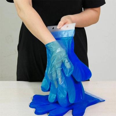 Chine Gants en poly (CPE, TPE, LDPE, HDPE) pour les travaux ménagers, les produits alimentaires, le nettoyage, le bleu transparent ou toute autre couleur à vendre