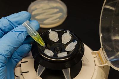 China EO Steriele 1,5 ml Polypropyleen gegradueerde microcentrifugebuizen met snap cap Duurzame microcentrifuge laboratoriumbuizen Te koop