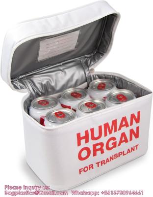 China Medical Products Specimen Transport Bag: Insulated Biohazard Cooler For Healthcare Pros And Lab Specialists Te koop