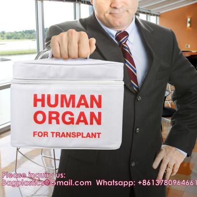China Medical Products Specimen Transport Bag: Insulated Biohazard Cooler For Healthcare Pros And Lab Specialists Te koop