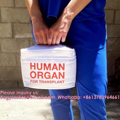 China Medical Products Specimen Transport Bag: Insulated Biohazard Cooler For Healthcare Pros And Lab Specialists Te koop
