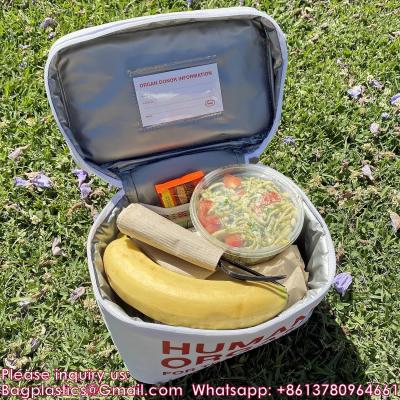 China Medical Products Specimen Transport Bag: Insulated Biohazard Cooler For Healthcare Pros And Lab Specialists Te koop