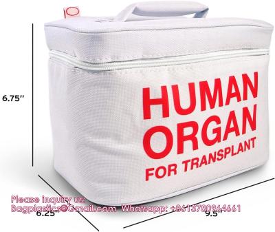 China Medical Products Specimen Transport Bag: Insulated Biohazard Cooler For Healthcare Pros And Lab Specialists Te koop