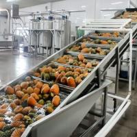 Quality Full Automatic Fruit Juice Filling Production Line pineapple fruit juice for sale
