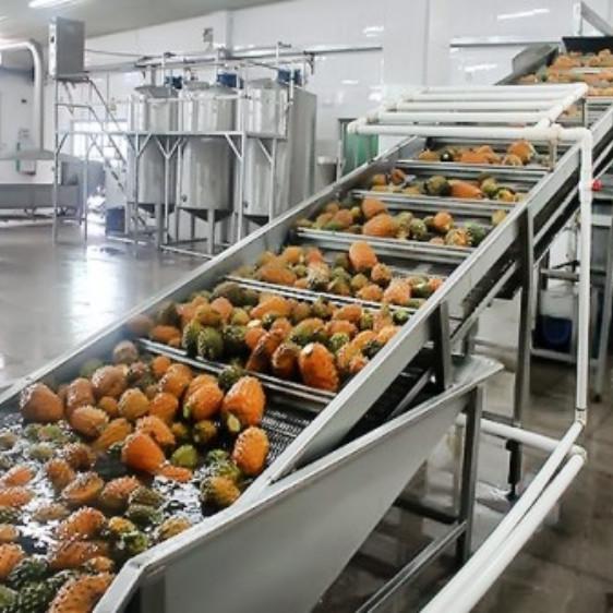 Quality Full Automatic Fruit Juice Filling Production Line  pineapple fruit juice concentrate pulp jam processing making machine plant for sale