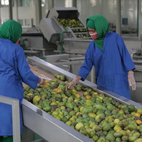 Quality Apple juice production line/fruit pulp processing machine/mango Fruit Juice for sale