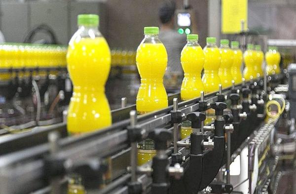 Quality SUS304 fruit juice processing line Pineapple fruit juicing Production Line for sale