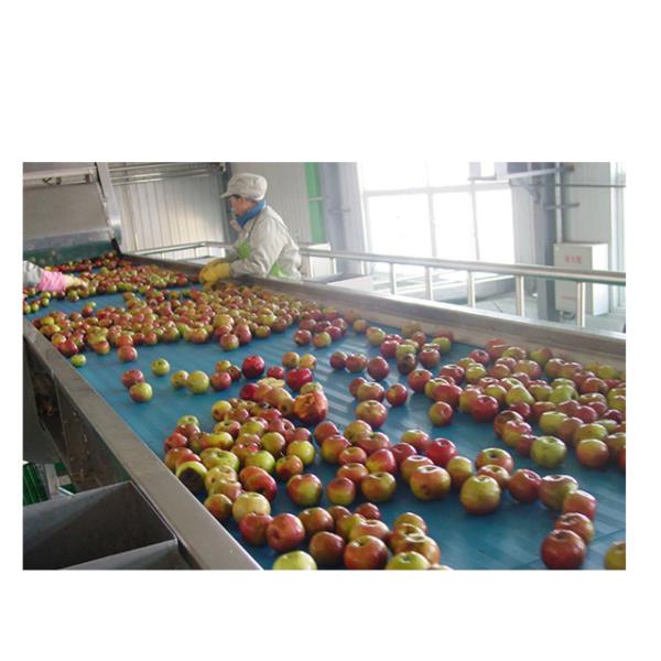 Quality Automatic Apple Orange Pineapple Juice Processing Line Small Scale for sale