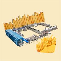 Quality Electronic Frozen French Fries Production Line Food Grade 304 Stainless Steel for sale