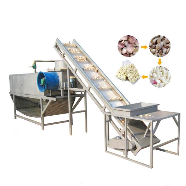 Quality Automatic Stainless Steel Fruit Vegetable Processing Machine Electric Double Slot for sale