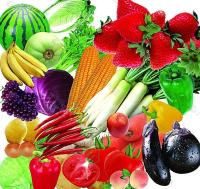 China Automatic Stainless Steel Fruit Vegetable Processing Machine Electric Double Slot for sale