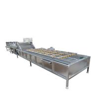 Quality Customized Fruit Vegetable Washing Machine Ginger Bubble Washing Machine for sale