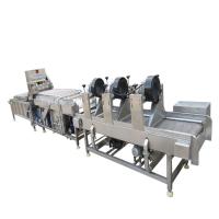 China Customized Fruit Vegetable Washing Machine Ginger Bubble Washing Machine for sale