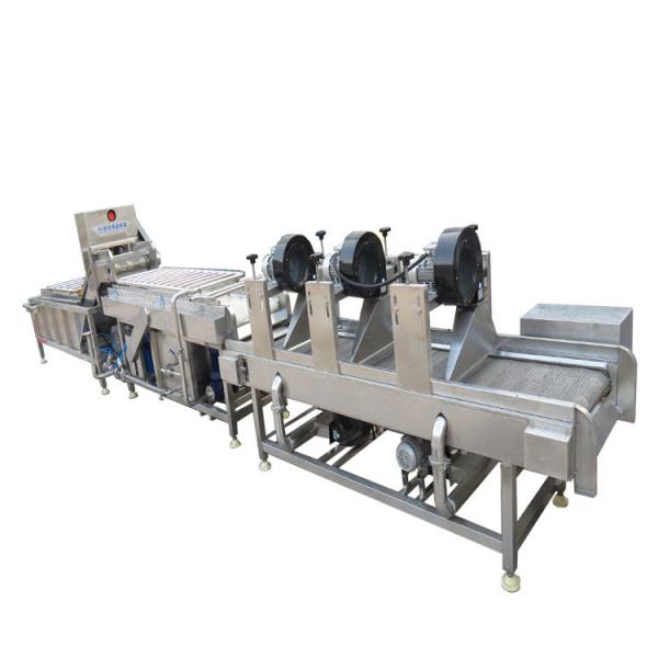 Quality Customized Fruit Vegetable Washing Machine Ginger Bubble Washing Machine for sale
