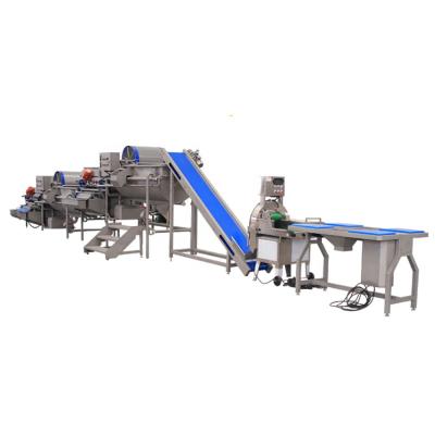 China Customized Fruit Vegetable Washing Machine Ginger Bubble Washing Machine for sale
