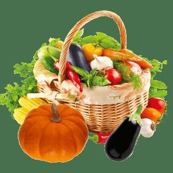 Quality Electric Fruit Vegetable Processing Machine Kitchen OEM ODM 1.75L for sale