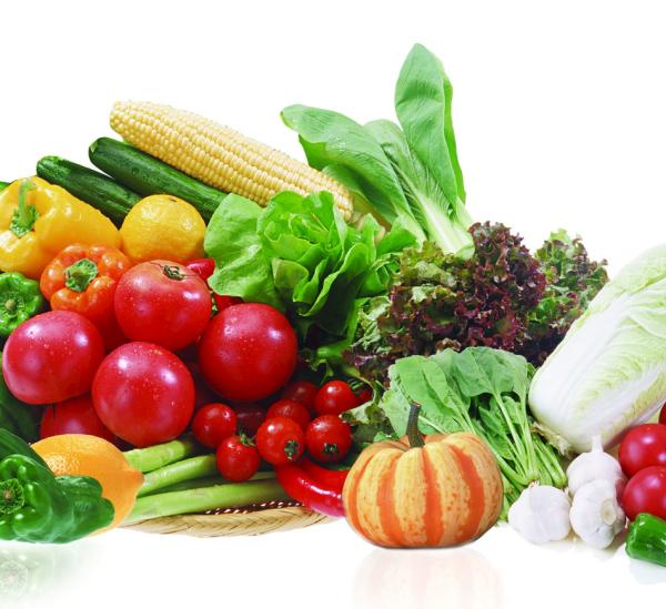 Quality Electric Fruit Vegetable Processing Machine Kitchen OEM ODM 1.75L for sale