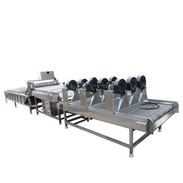 Quality 400-600kg Fruit Vegetable Processing Machine Automatic  Fruit Drying And Sorting for sale