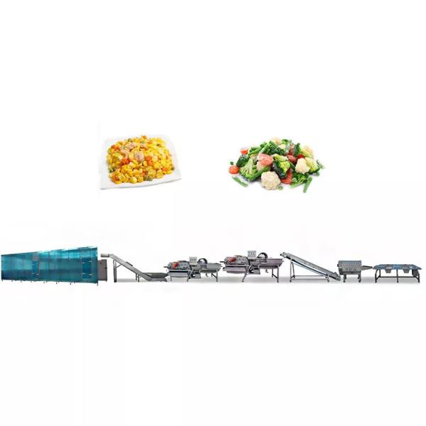 Quality 400-600kg Fruit Vegetable Processing Machine Automatic Fruit Drying And Sorting for sale
