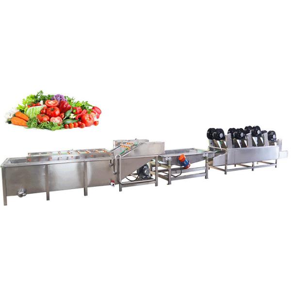 Quality High Speed Fruit And Vegetable Cleaning Machine Ultrasonic Washing for sale