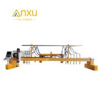 Quality Gantry Multi Head Straight CNC Flame Plasma Metal Gas Cutting Machine for sale