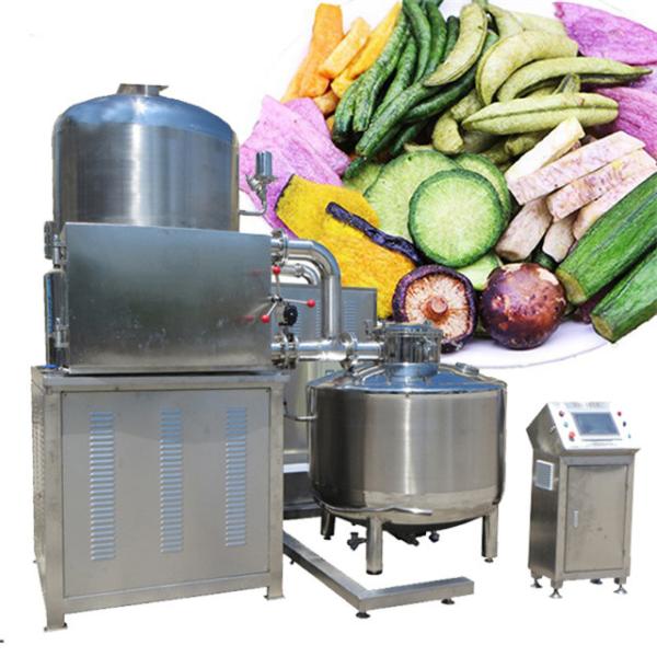 Quality Commercial Vacuum Frying Machine  Banana Chips French Fries Continuous Vacuum Fryer for sale