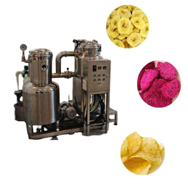 Quality Commercial Vacuum Frying Machine Banana Chips French Fries Continuous Vacuum for sale