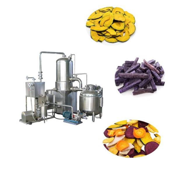 Quality Vegetable Fruits Vacuum Frying Machine Automatic 4800*3200*3200mm for sale