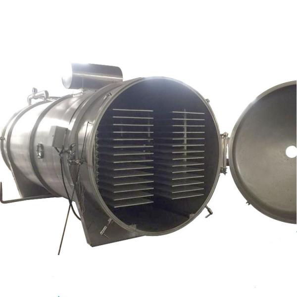 Quality Automatic Vacuum Freeze Dryer 304/316 Stainless Steel With Rotary Vane Pump for sale