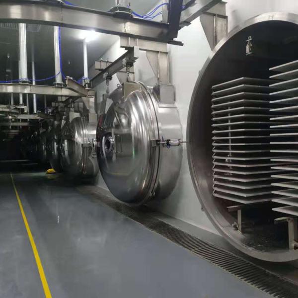 Quality Automatic Vacuum Freeze Dryer 304/316 Stainless Steel With Rotary Vane Pump for sale