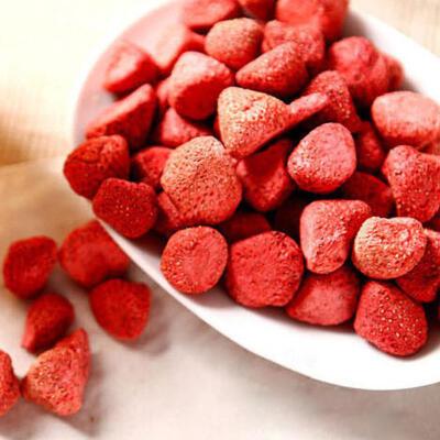 Quality Food Vacuum Freeze Drying Machine For Vegetable and Fruit Drying for sale
