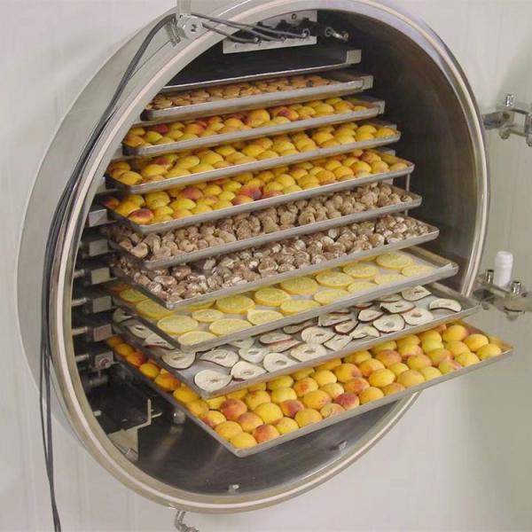 Quality Automatic Pet Food Vacuum Freeze Drying Machine 16KW Low Temperature for sale