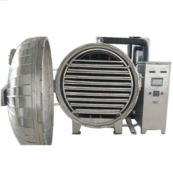 Quality Professional Lyophilizer Drying Industrial Freeze Drying Machine 304/316 Stainless Steel for sale