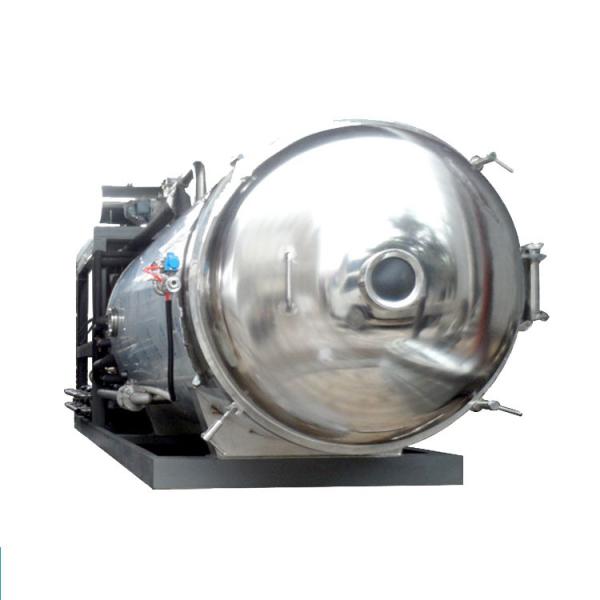 Quality Professional Lyophilizer Drying Industrial Freeze Drying Machine 304/316 for sale