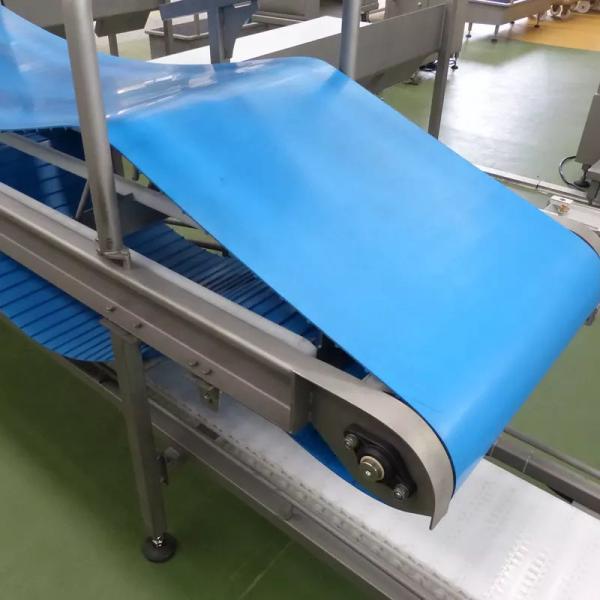 Quality Customizable Poultry Slaughtering Line 200KG Stainless Steel Poultry Processing for sale