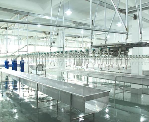 Quality 7.5KW Poultry Slaughtering Line Automatic HJ-TSSB 2480*1340*1480mm for sale