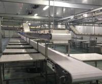 Quality ISO9001 CE Full Automatic Poultry Slaughtering Line Automatic Chicken Slaughteri for sale
