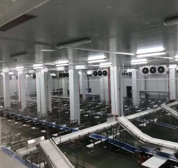 Quality ISO9001 CE Full Automatic Poultry Slaughtering Line Automatic Chicken Slaughteri for sale