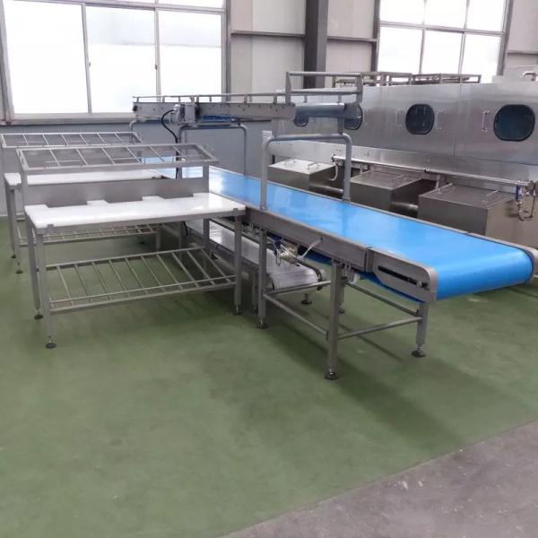 Quality ISO9001 CE Full Automatic Poultry Slaughtering Line Automatic Chicken Slaughteri for sale