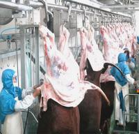 China Sterilization Food Grade Slaughterhouse Cow Machine High Efficiency Cow Processing Machine for sale