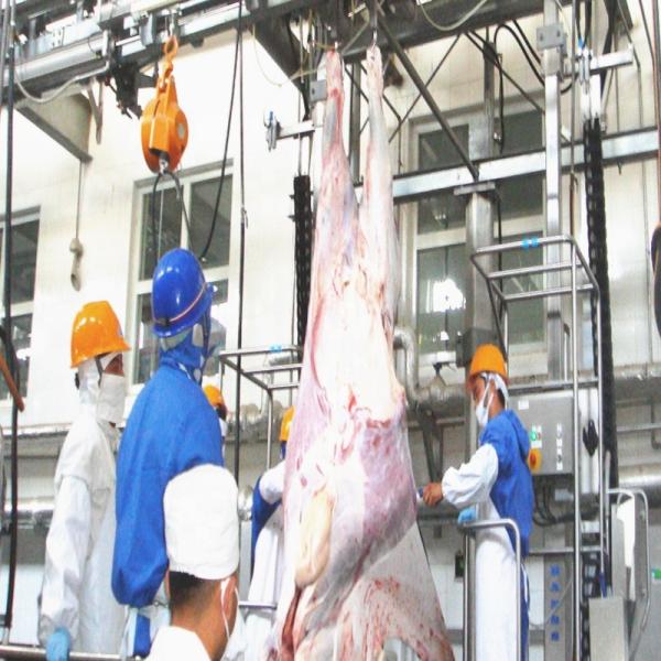 Quality Customized  7.5KW Slaughterhouse Cow Machine Automatic Cow Slaughtering Machine for sale