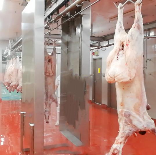 Quality Stainless Steel 304 Slaughterhouse Cow Machine Polyurethane Rubber Hair Plucking for sale